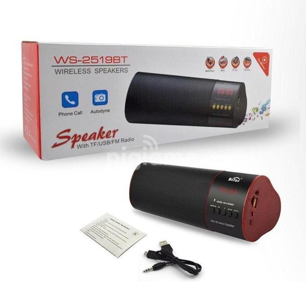 WSTER Wireless Bluetooth Speaker with FM – WS 2519BT - Sadabahaar
